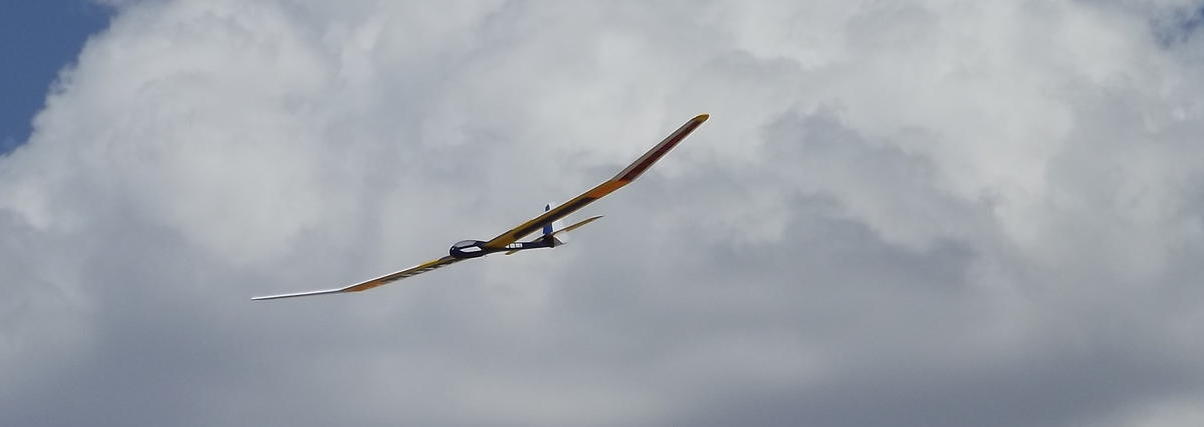 Apr 11, Aquila Grande, Scratched from Custom Wing Set – Sailplanes and ...